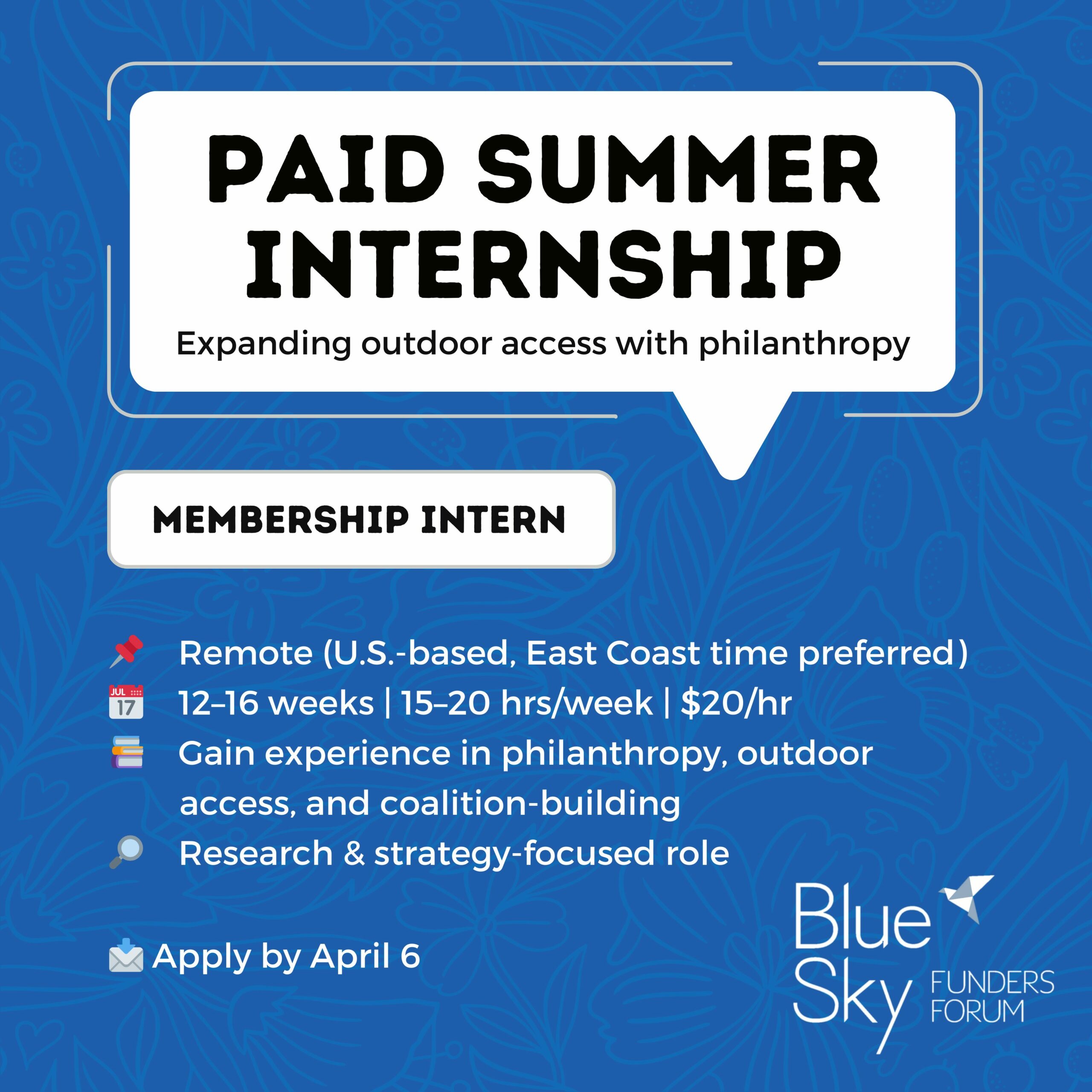We’re Hiring a Summer Intern: Membership Internship – Blue Sky Funders Forum